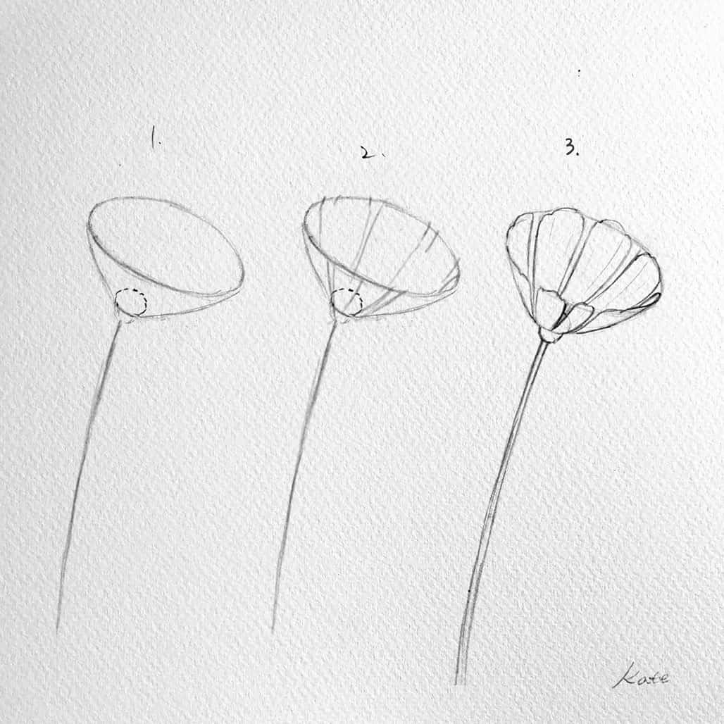 Easy Pencil Flower Drawing Step By Step - Infoupdate.org Easy Pencil Flower Drawing Step By Step - Infoupdate.org